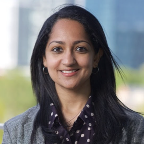 Akanksha Menon | Strategic Energy Institute